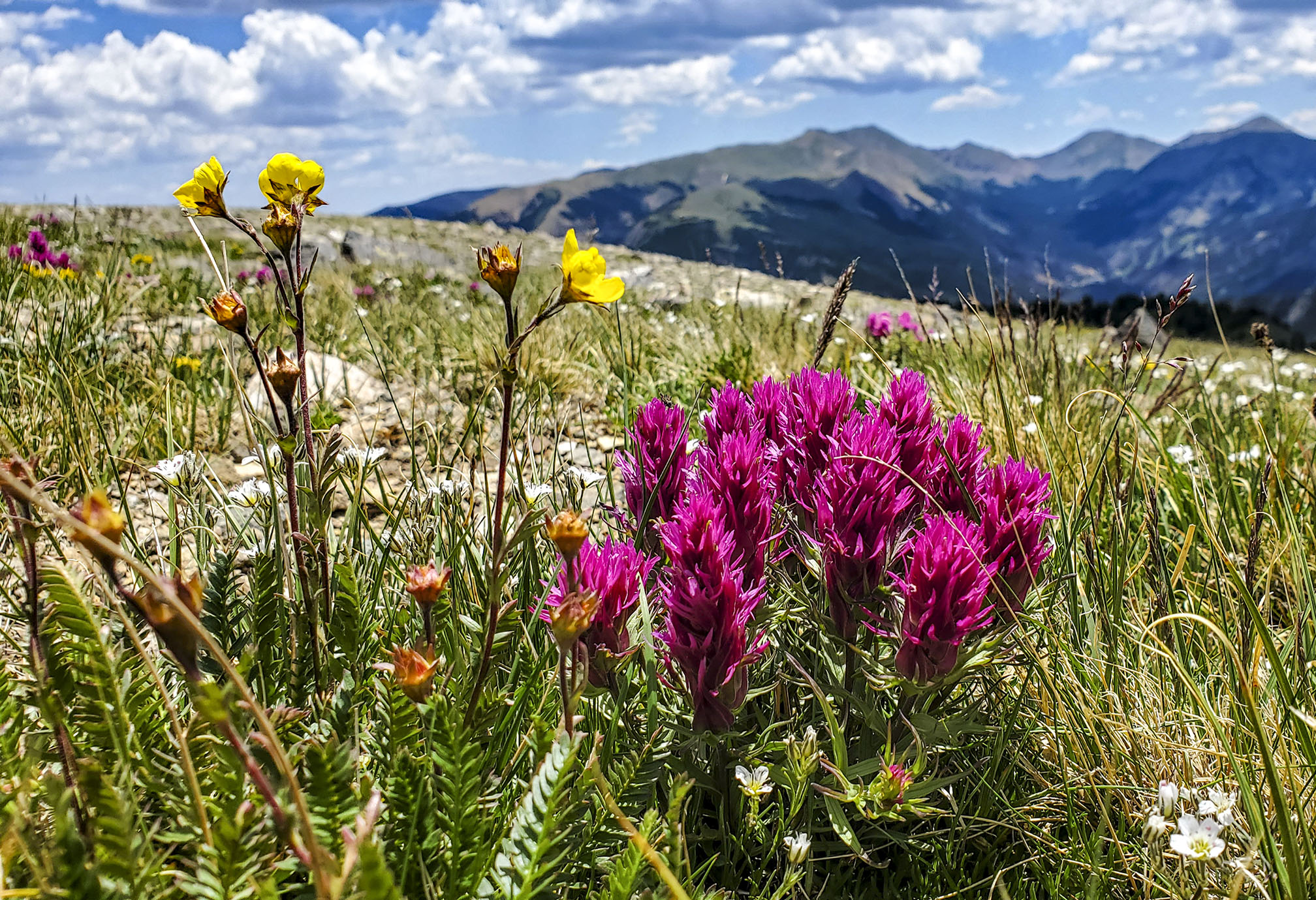 Extremes - Magik Square Productions